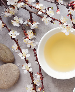 Jenier World of Teas - Wholesale Supplier of High Quality Teas and Teawares